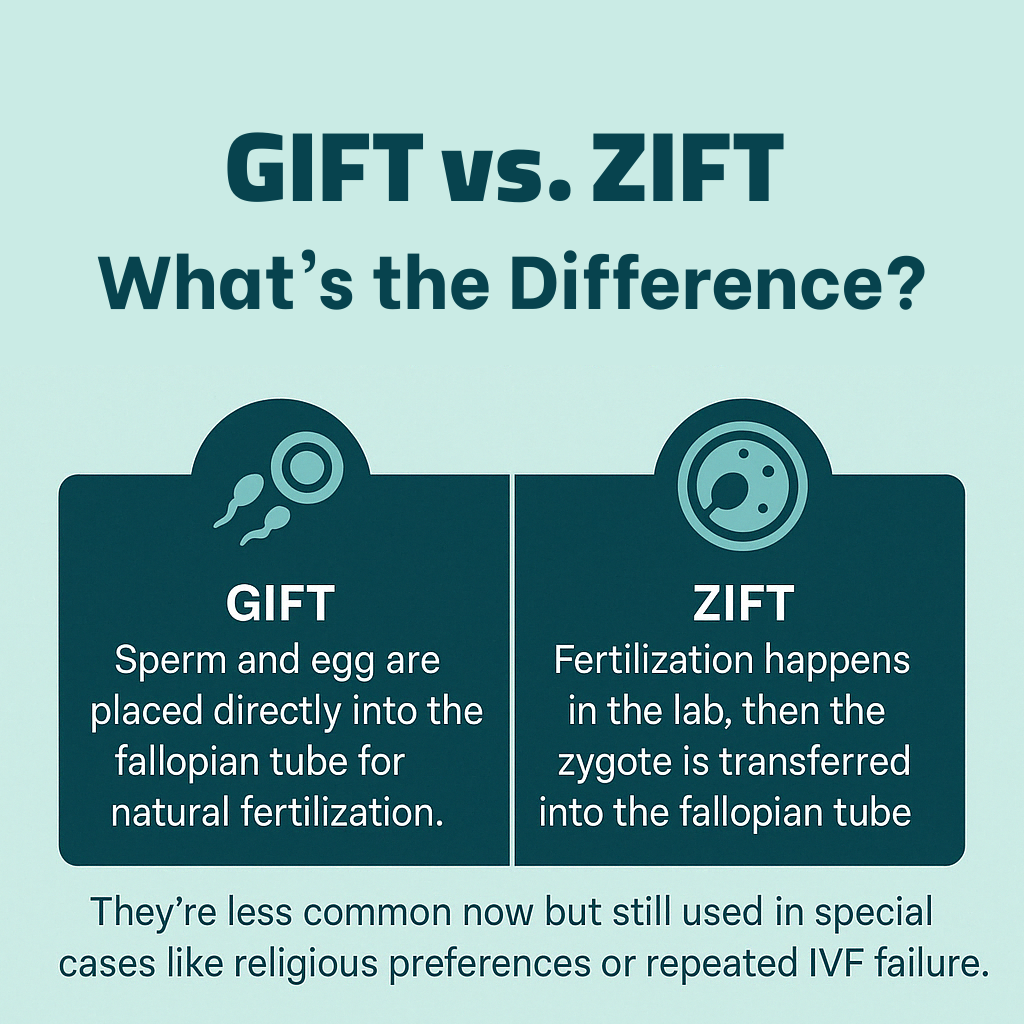GIFT and ZIFT: Techniques, Applications, and FAQs